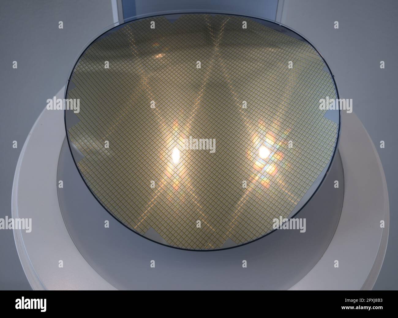 Dresden, Germany. 02nd May, 2023. A 300-millimeter thin wafer is on ...