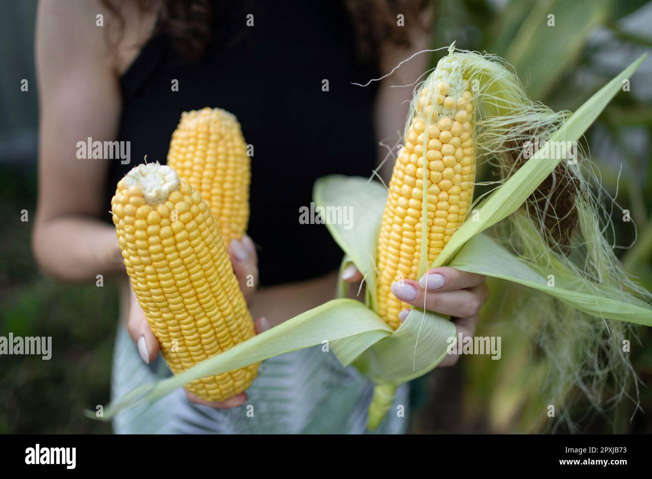 Female farmer gathering crop hi-res stock photography and images - Alamy