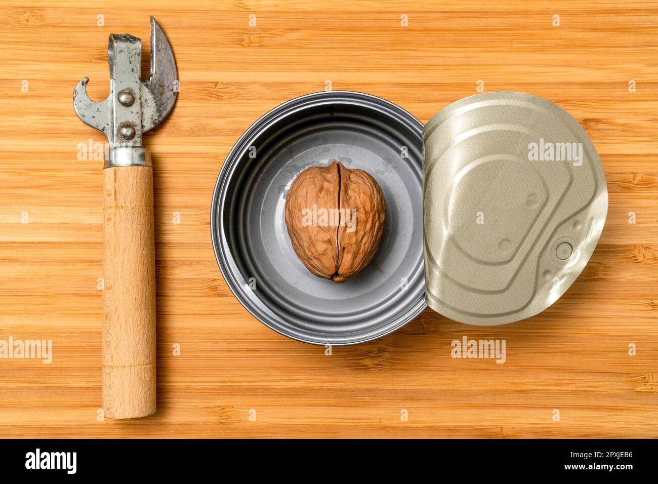 Can opener and opened tin can with a single walnut inside. Conceptual ...