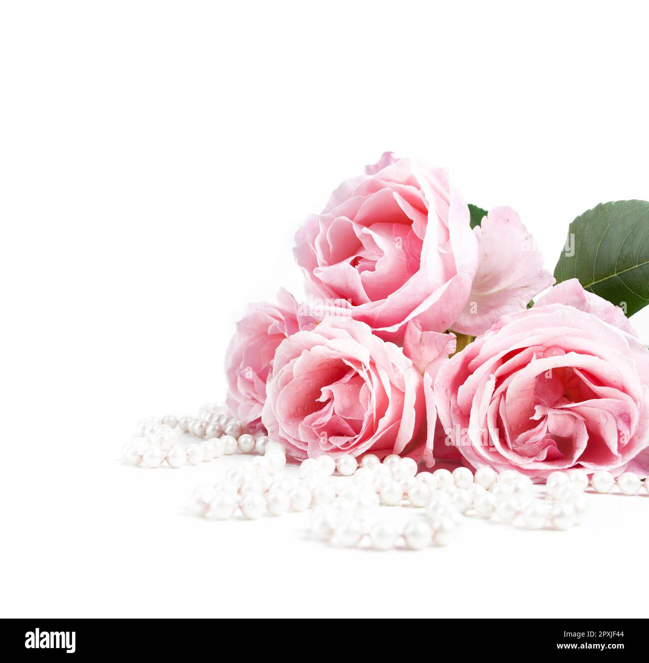Beautiful pastel pink roses bunch and elegant bridal pearls isolated ...