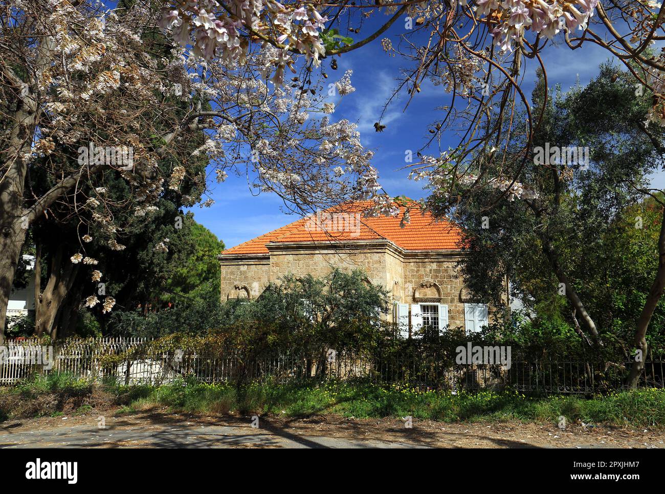 A traditional Lebanese house with a flowering tree in spring Stock ...