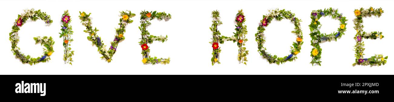 Blooming Flower Letters Building English Text Give Hope. Summer And ...
