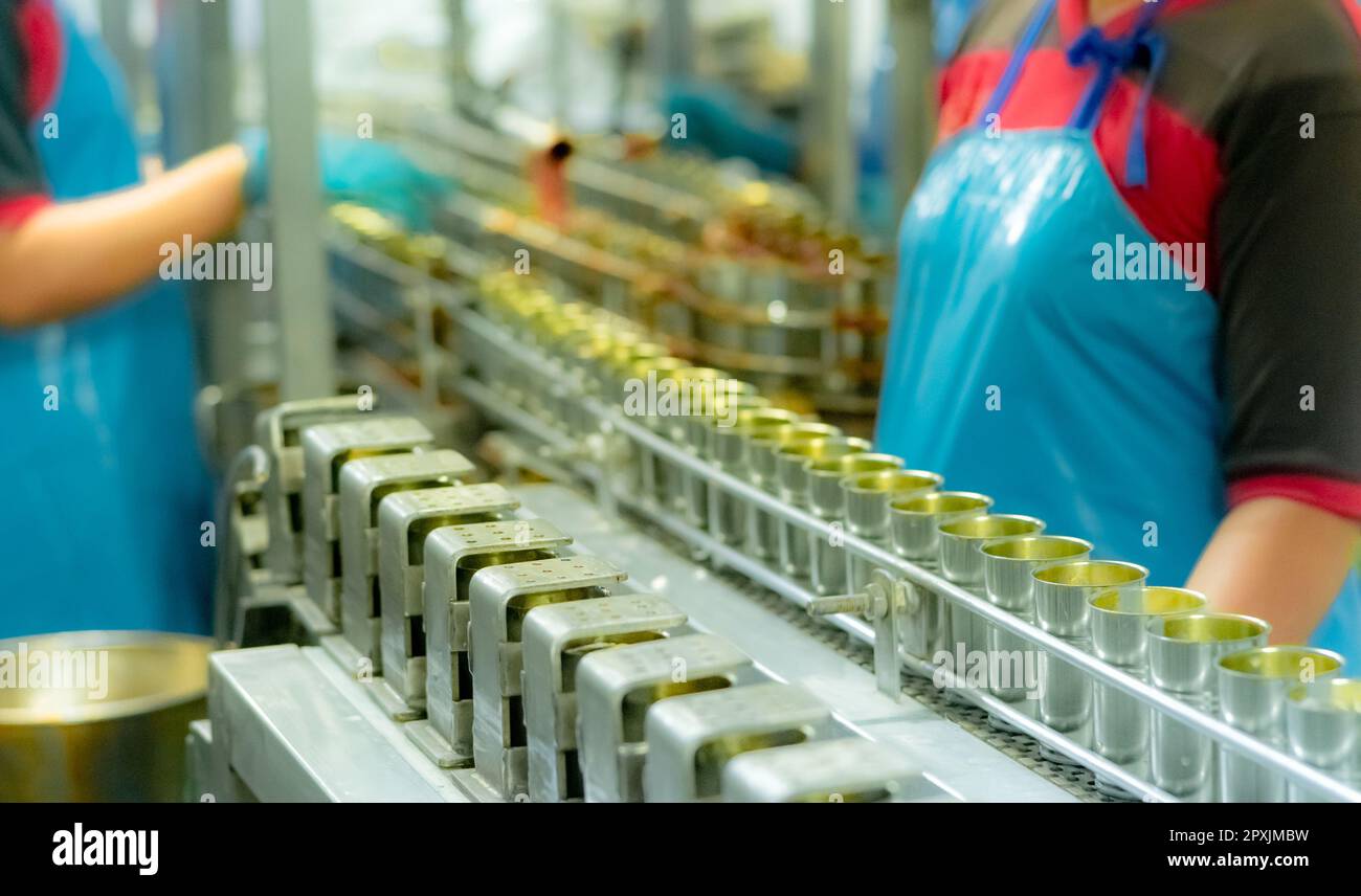 Canned fish factory. Food industry. Sardines in red tomato sauce in ...