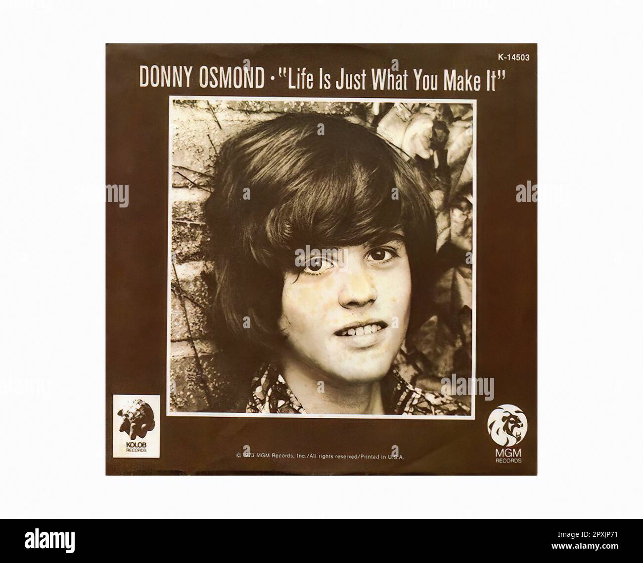 Donny osmond Cut Out Stock Images & Pictures - Alamy