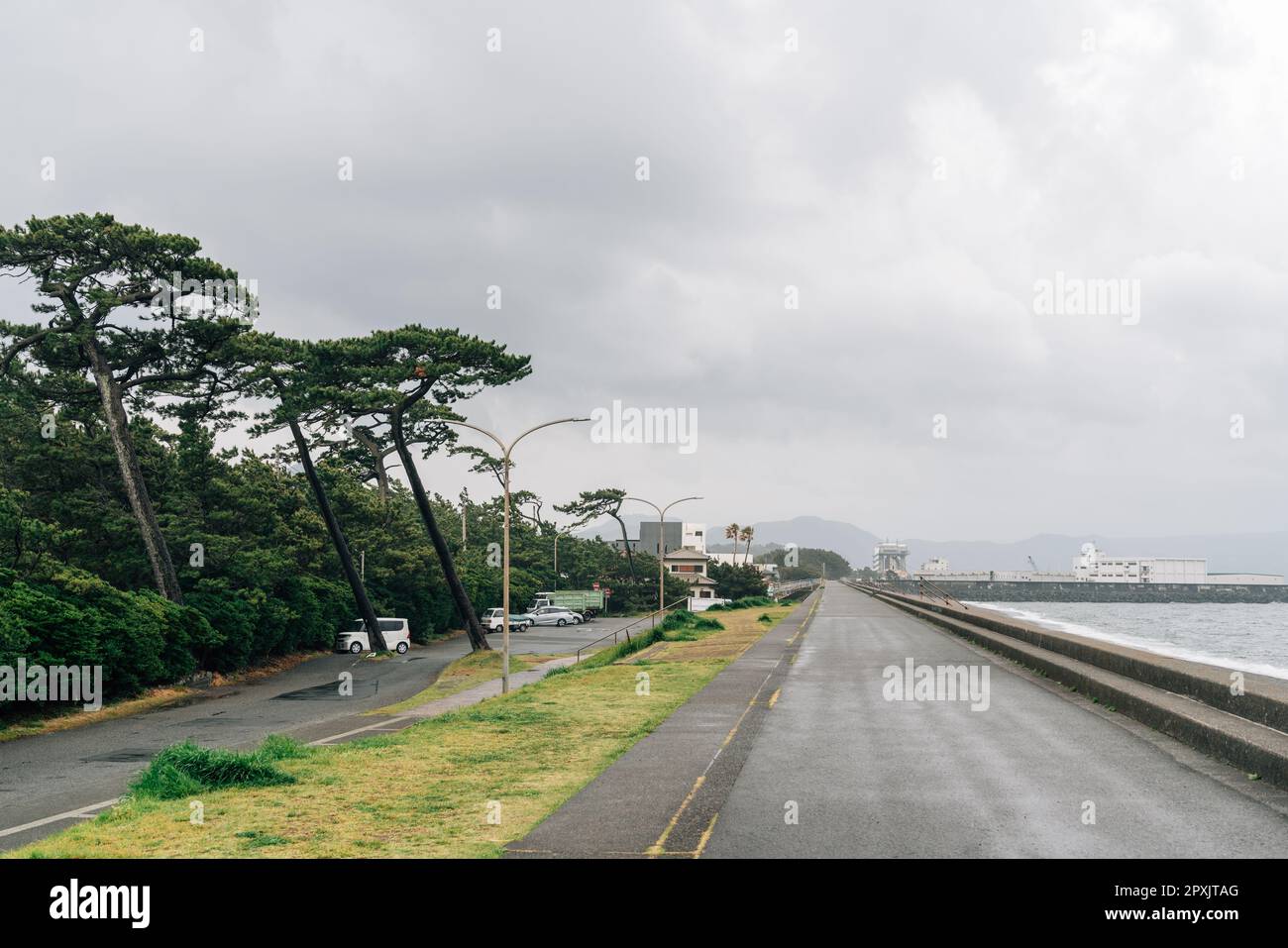 Numazu Port Senbonhama Beach and Senbon Pine Grove in Shizuoka, Japan ...
