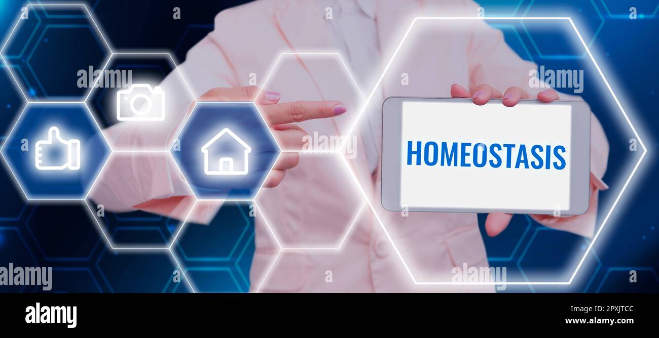 Conceptual caption Homeostasis, Word for the tendency toward a ...