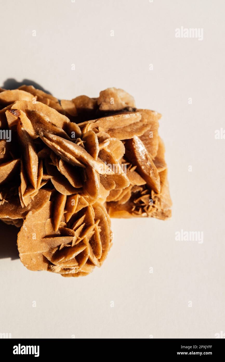 Desert rose mineral cluster from Tunisia, North Africa on white Stock ...