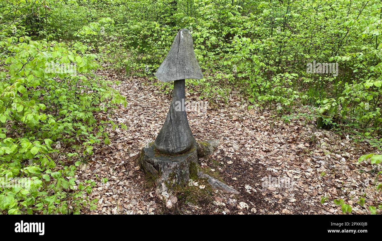 A wooden arrow pointing upwards placed in a forest Stock Photo - Alamy