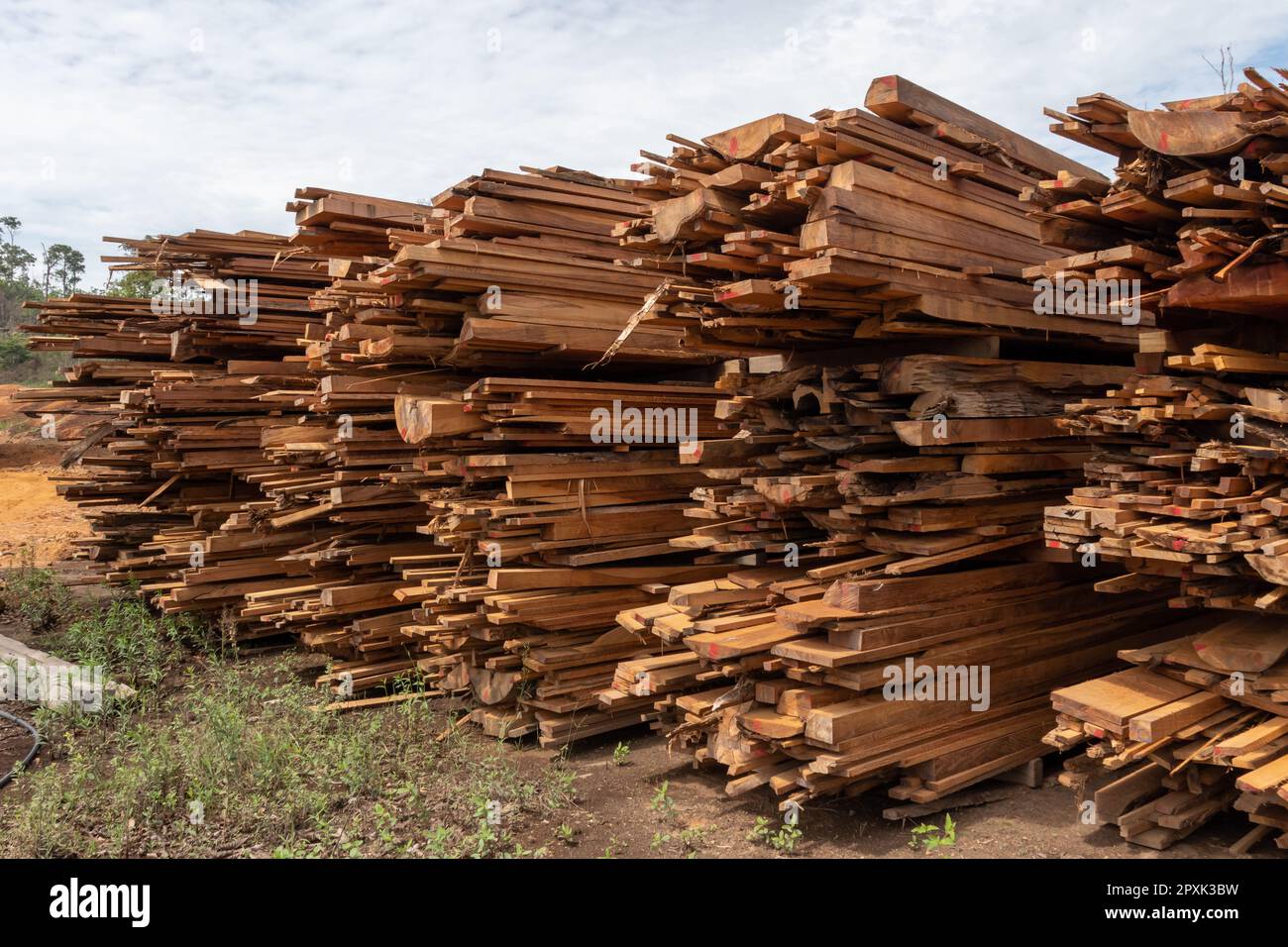 Pile of wood scraps from a sawmill industry Stock Photo - Alamy