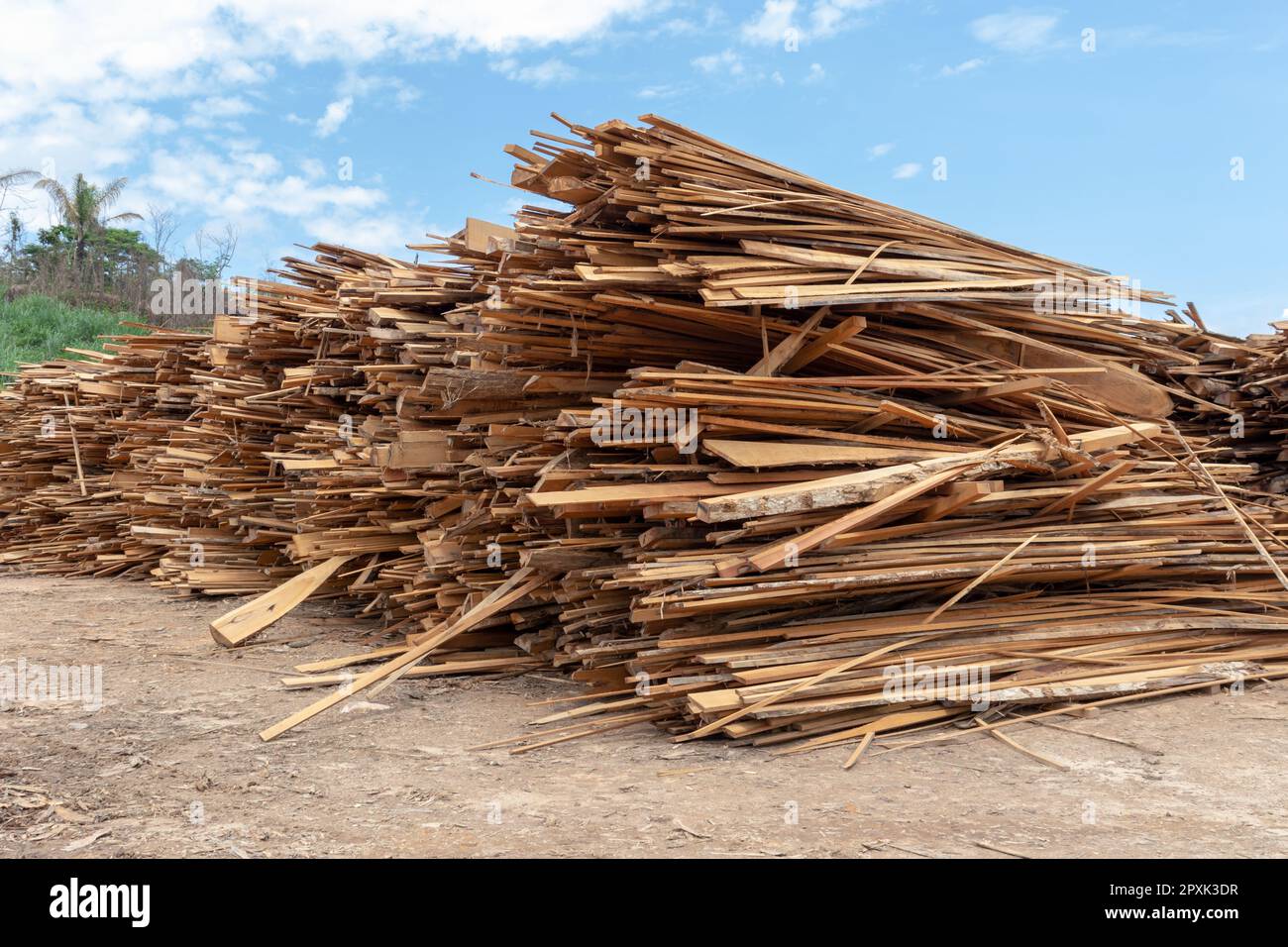 Pile of wood scraps from a sawmill industry Stock Photo - Alamy