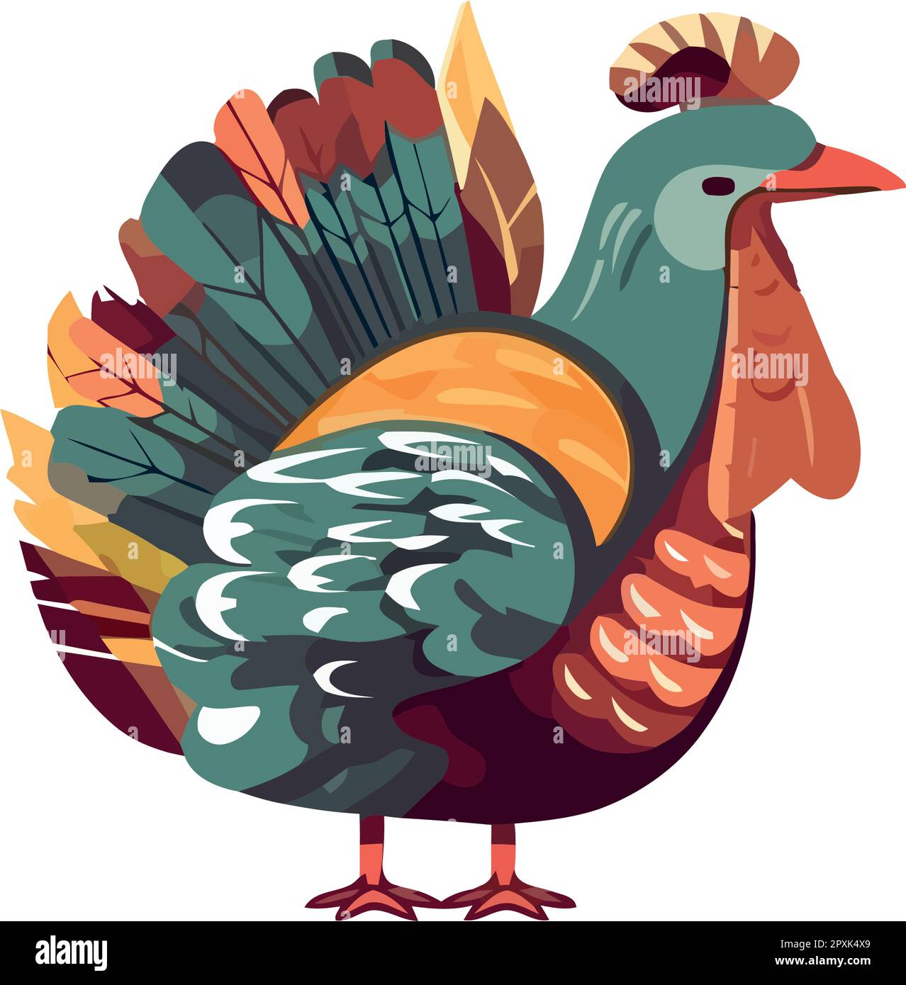Feathered turkey bird icon Stock Vector Image & Art - Alamy