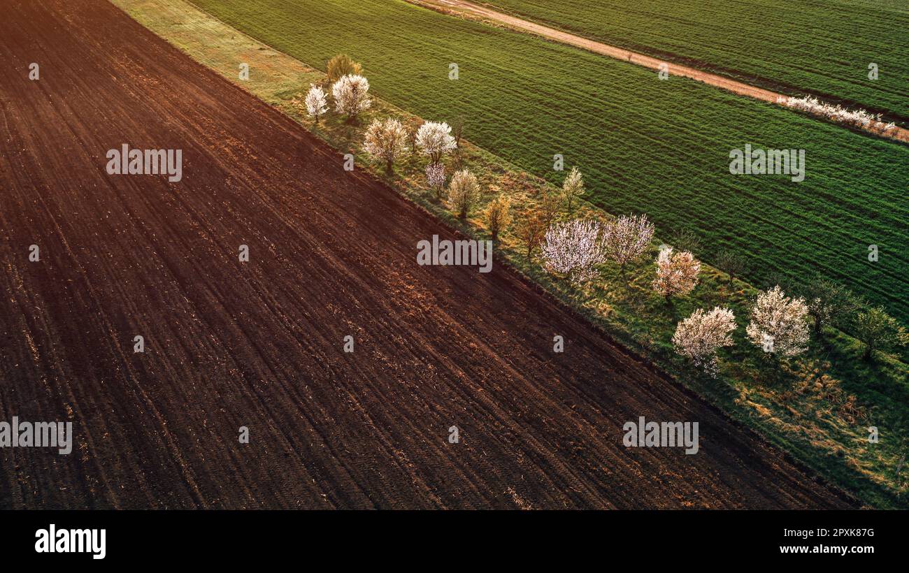 Aerial tree landscape hi-res stock photography and images - Alamy
