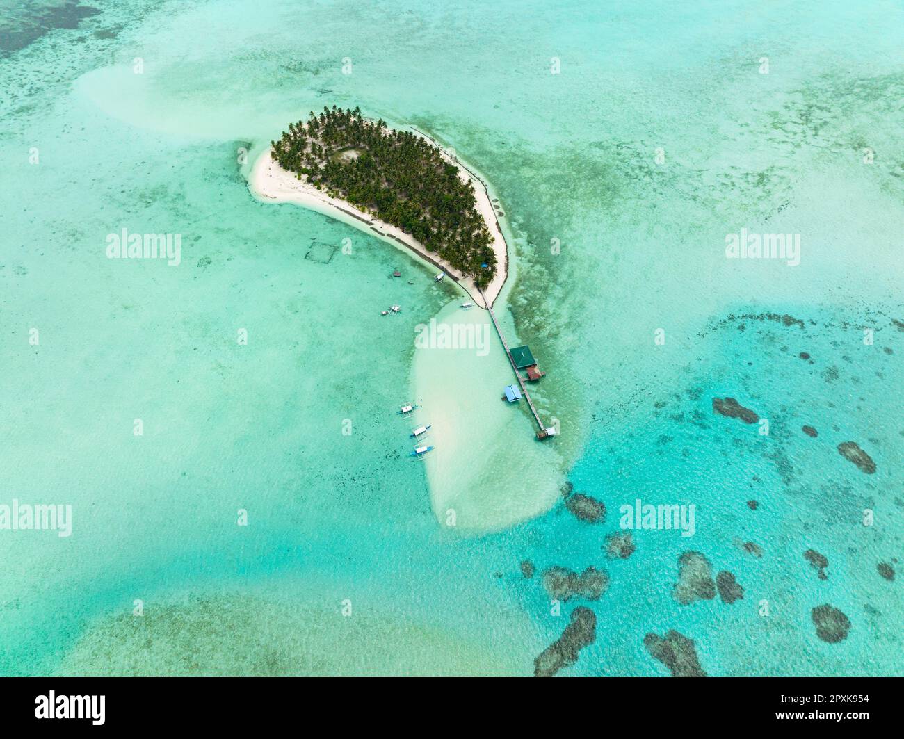 Top view of tropical island with palm trees and sandy beach. Onok ...