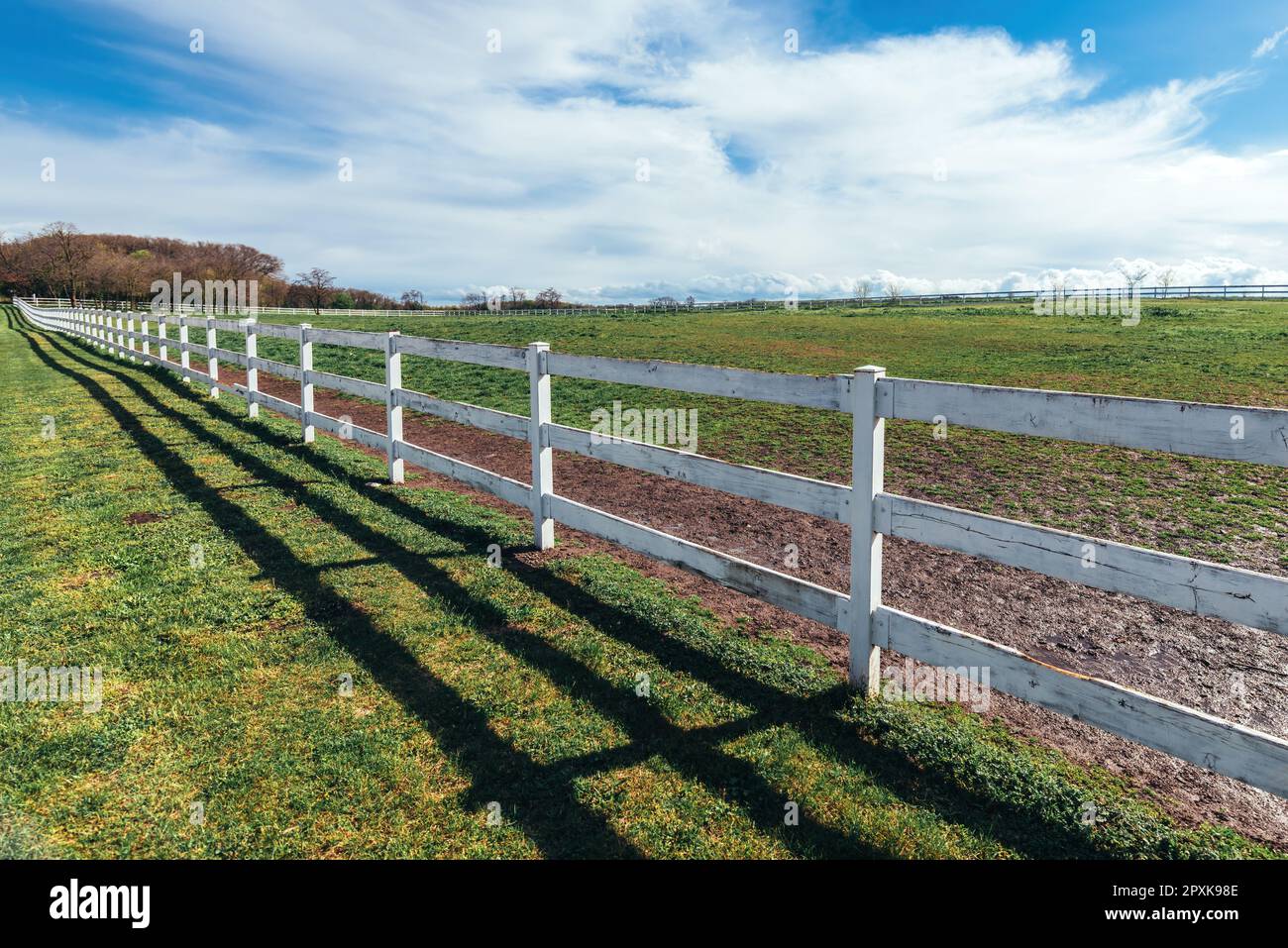 Paddock fence hi-res stock photography and images - Alamy