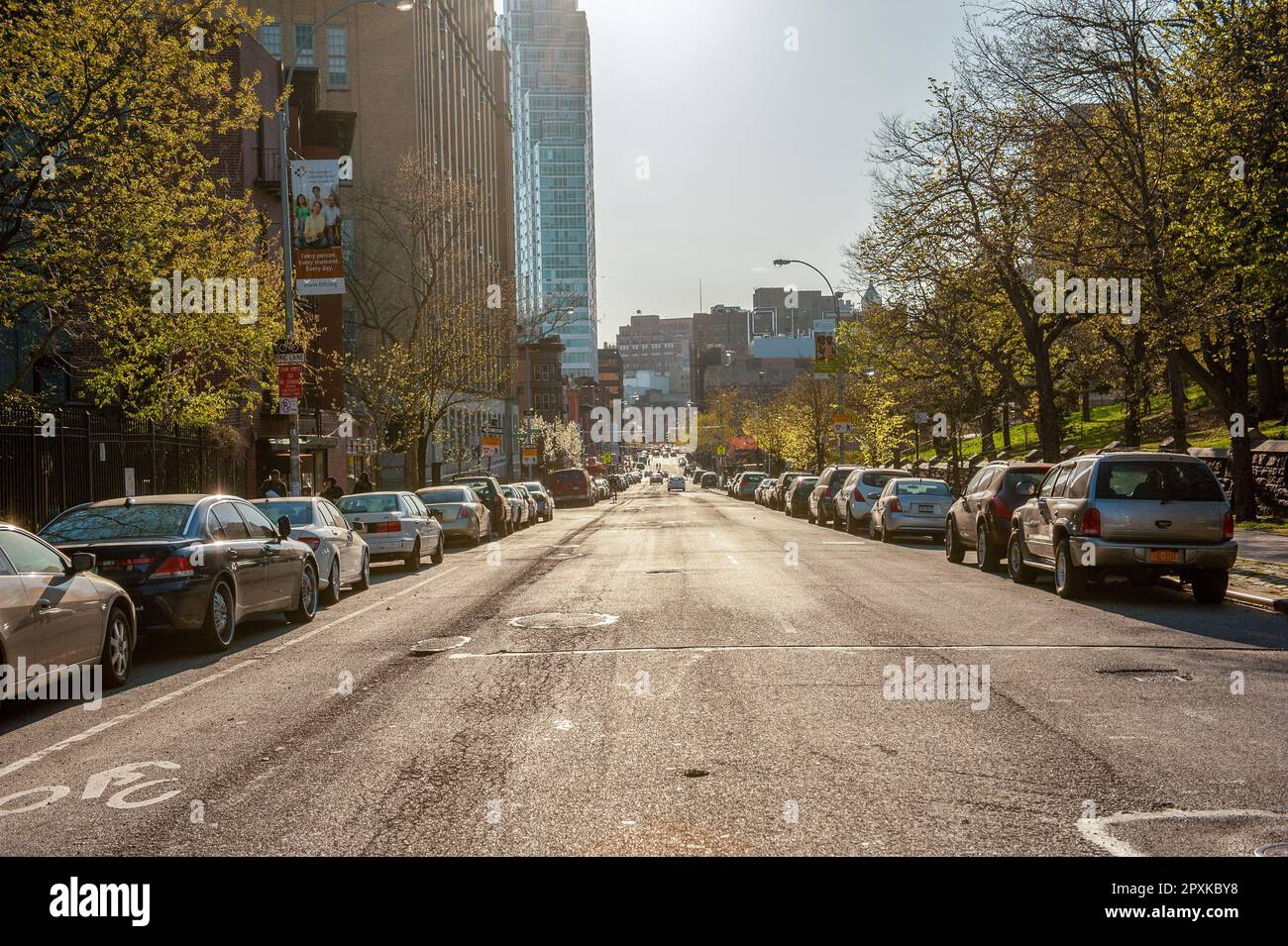 A selection of vehicles are parked in a street lined with urban ...
