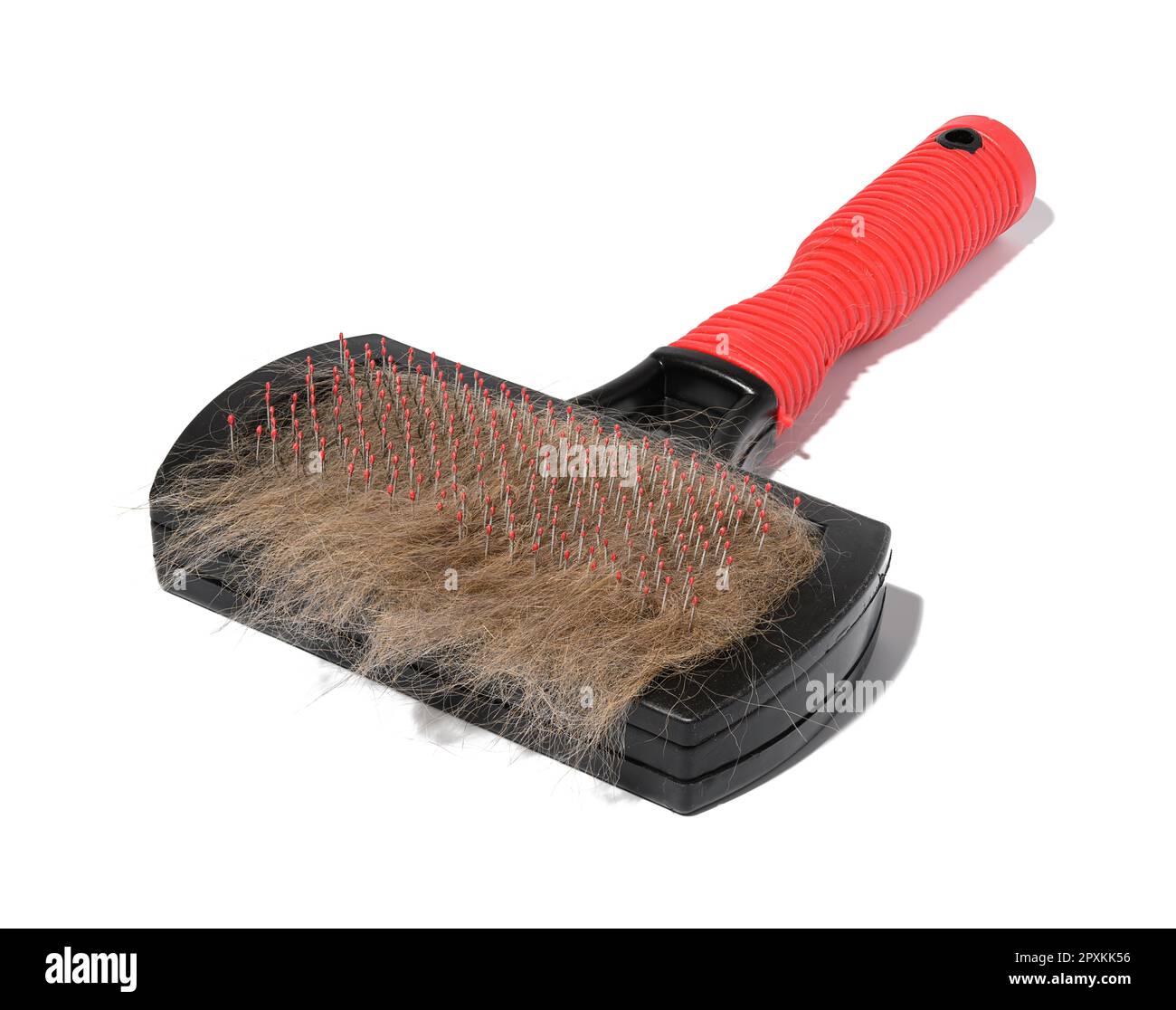 Soft hair brushing accessory hi-res stock photography and images - Alamy