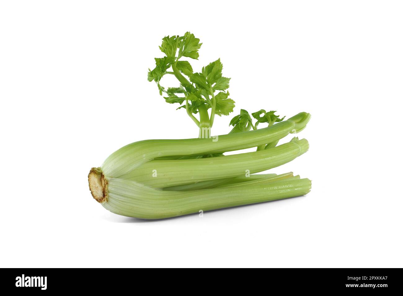 Fresh celery stalks with leaves isolated on white background Stock ...