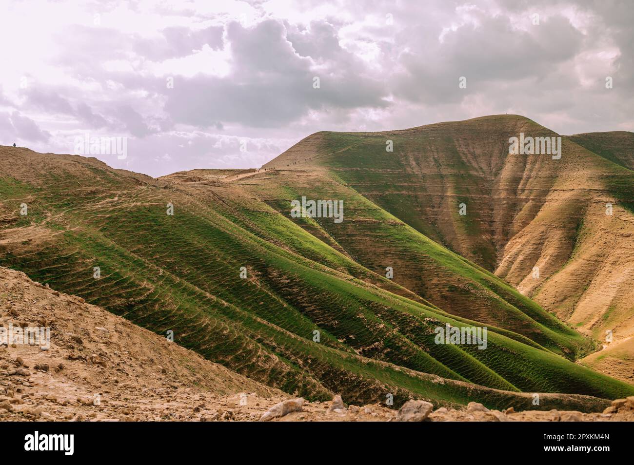 A landscape of hills under a cloudy sky in Jericho, Israel Stock Photo ...
