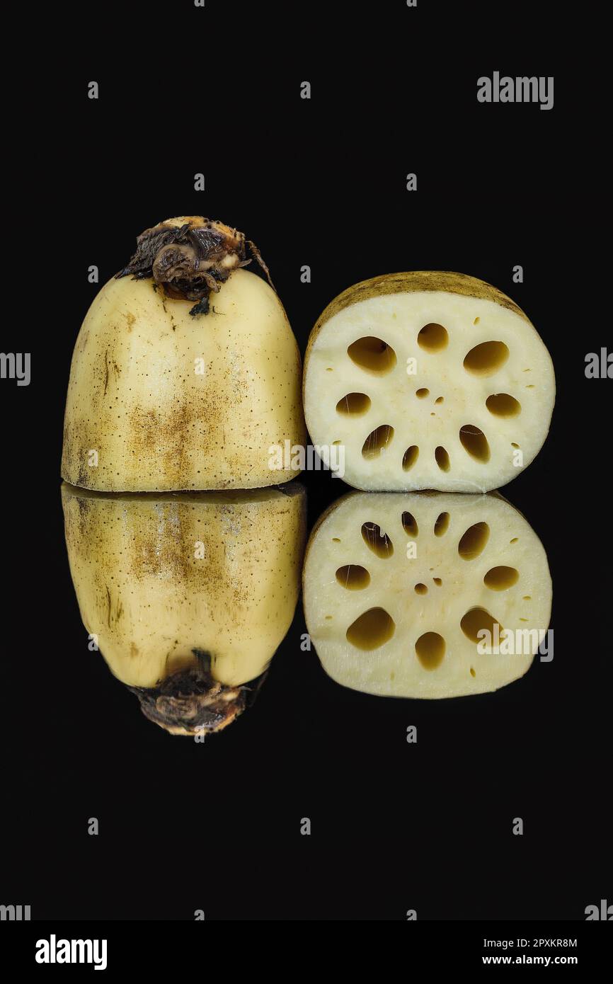 Cross section of lotus root in still life photography Stock Photo - Alamy