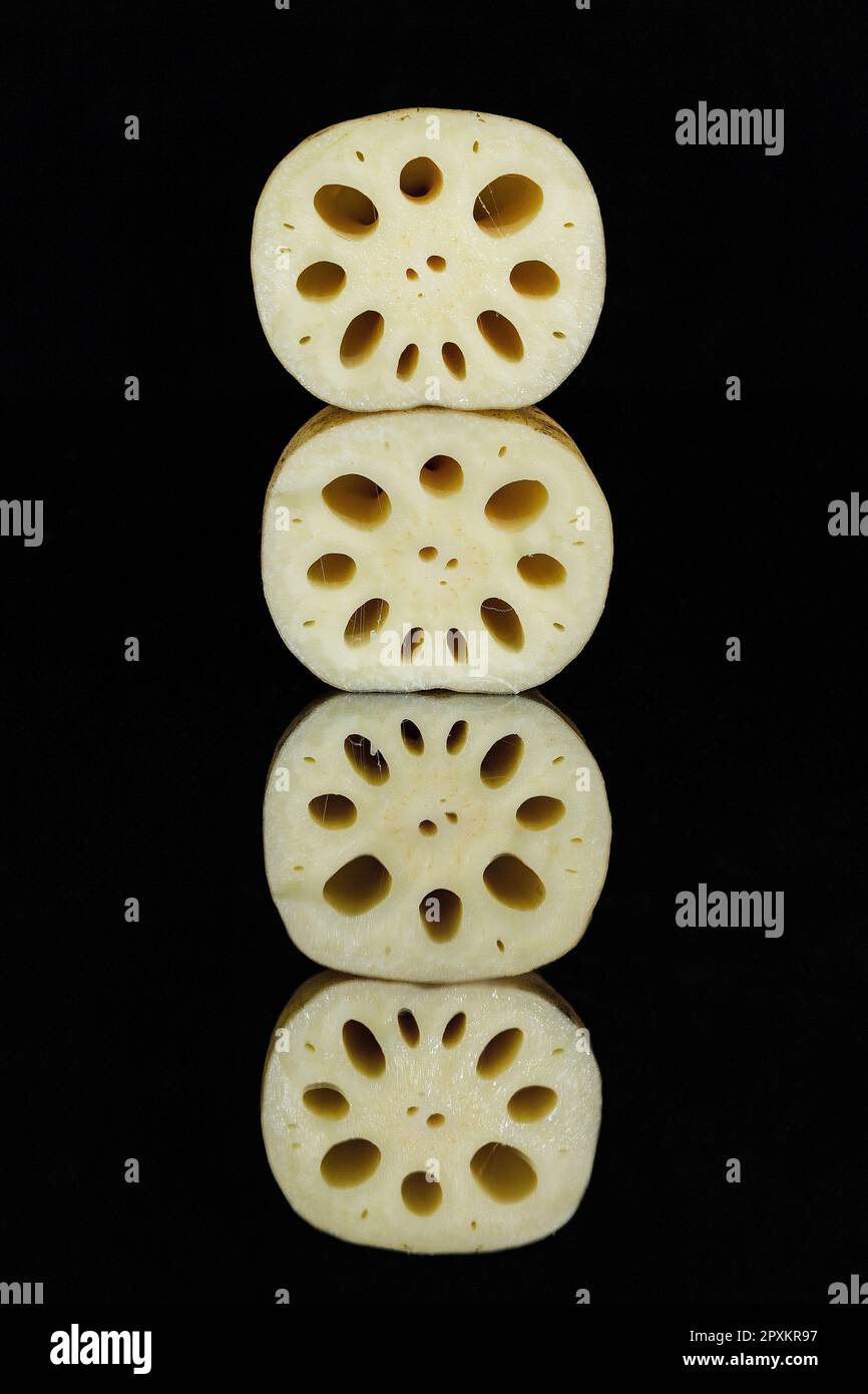 Cross section of lotus root in still life photography Stock Photo - Alamy