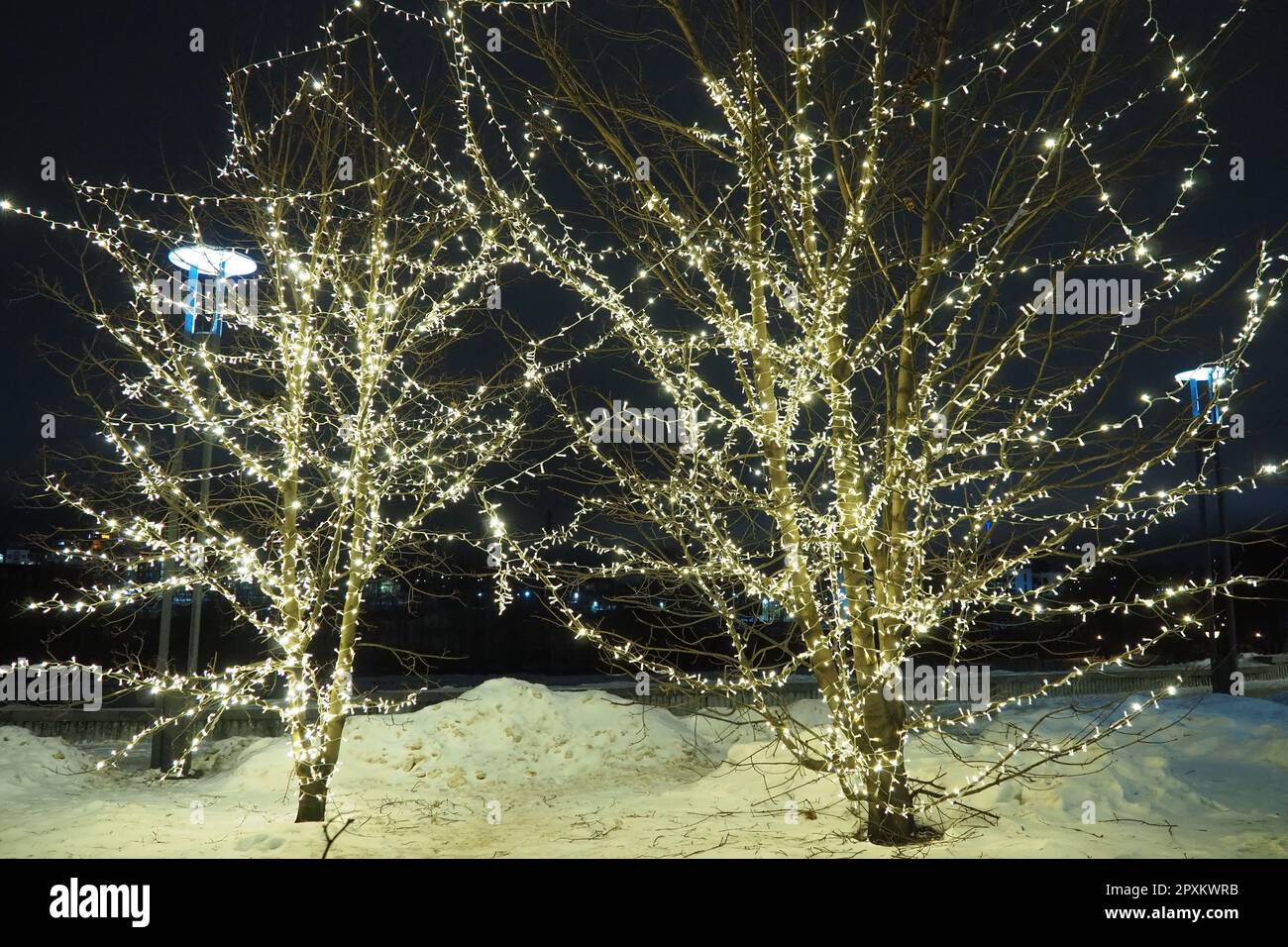 New Year or Christmas city night street. Snowdrifts. Tree lighting ...