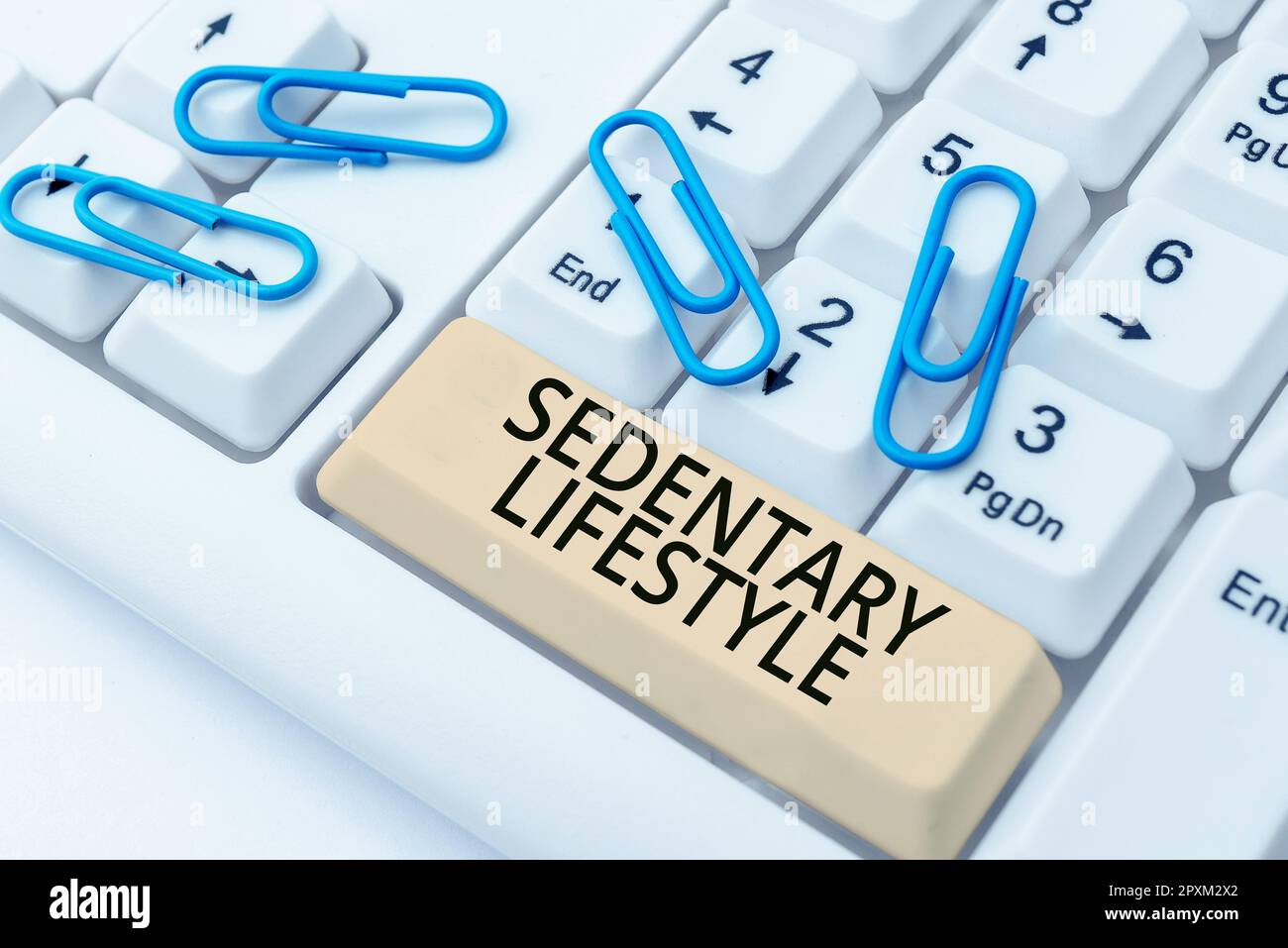 Inspiration showing sign Sedentary Lifestyle, Business approach ways ...