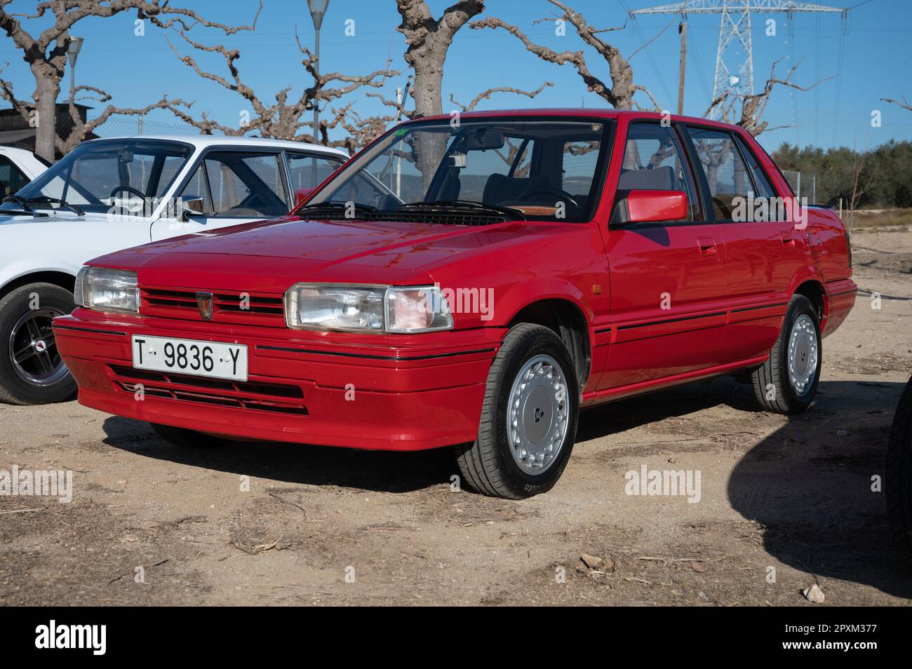Detail of a classic English vehicle, the red Rover 216 EFI Stock Photo ...