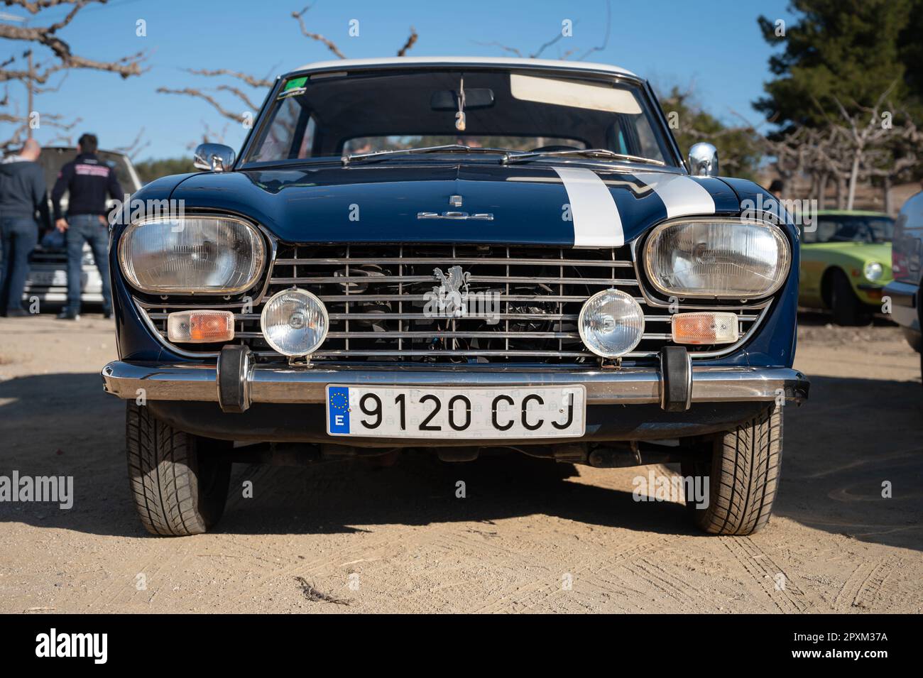 Detail of a classic French car, the dark blue Peugeot 204 Stock Photo ...
