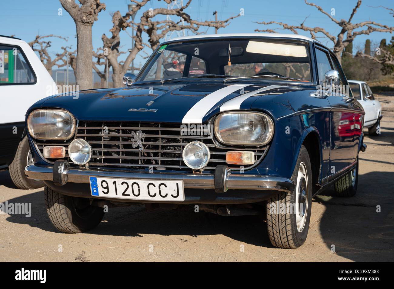 Detail of a classic French car, the dark blue Peugeot 204 Stock Photo ...