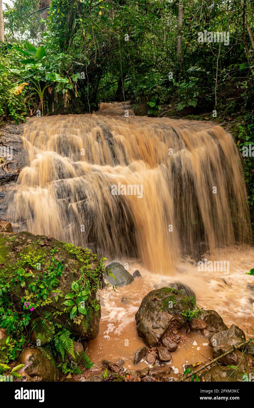 waterfall with rain water in the rain forest Stock Photo - Alamy