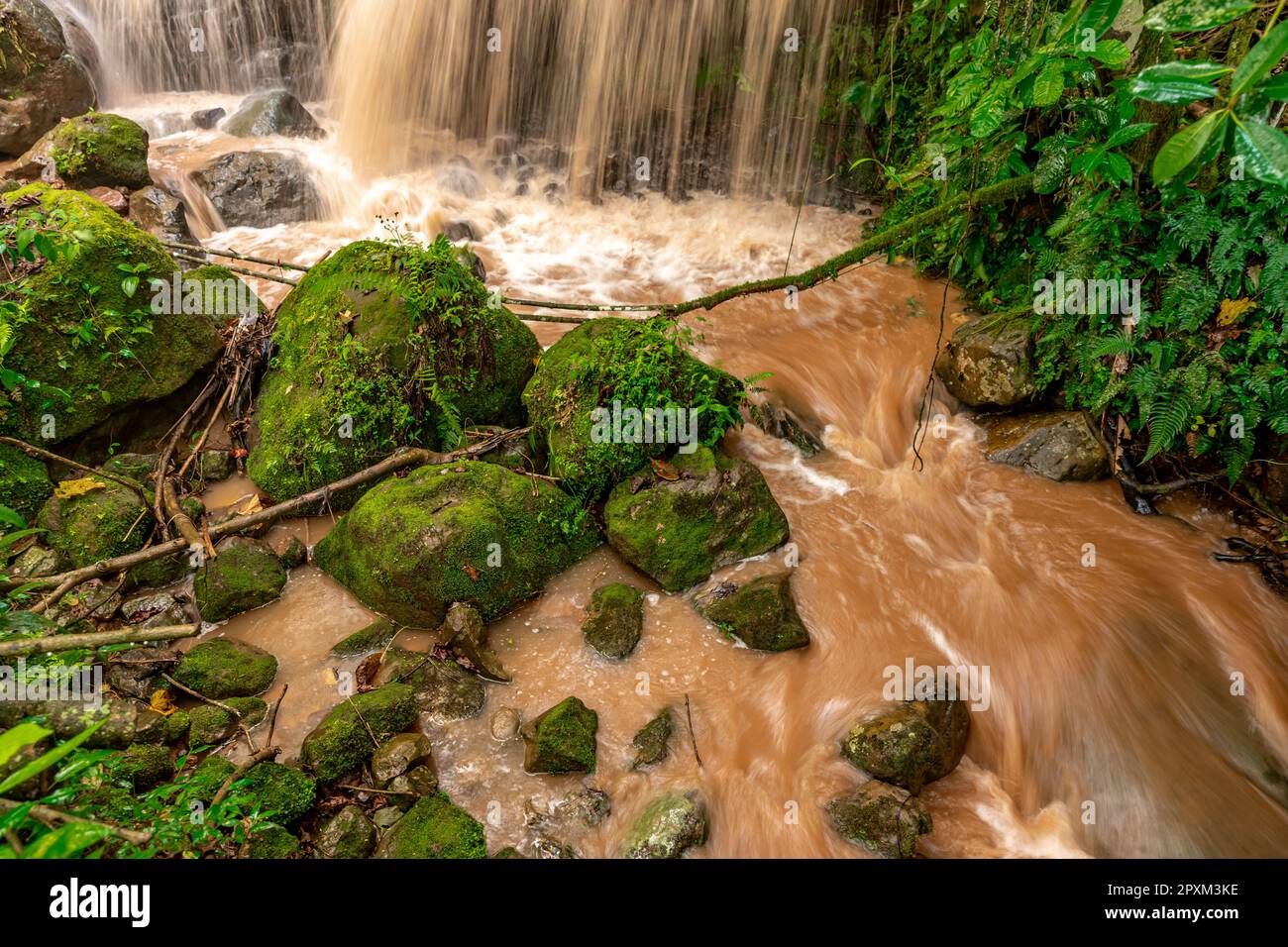 waterfall with rain water in the rain forest Stock Photo - Alamy