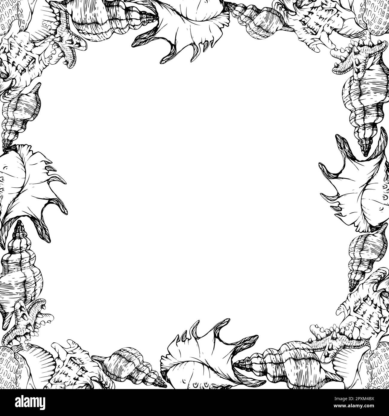 Hand drawn vector ink spiral pearl, brown and gold sea shells and ...