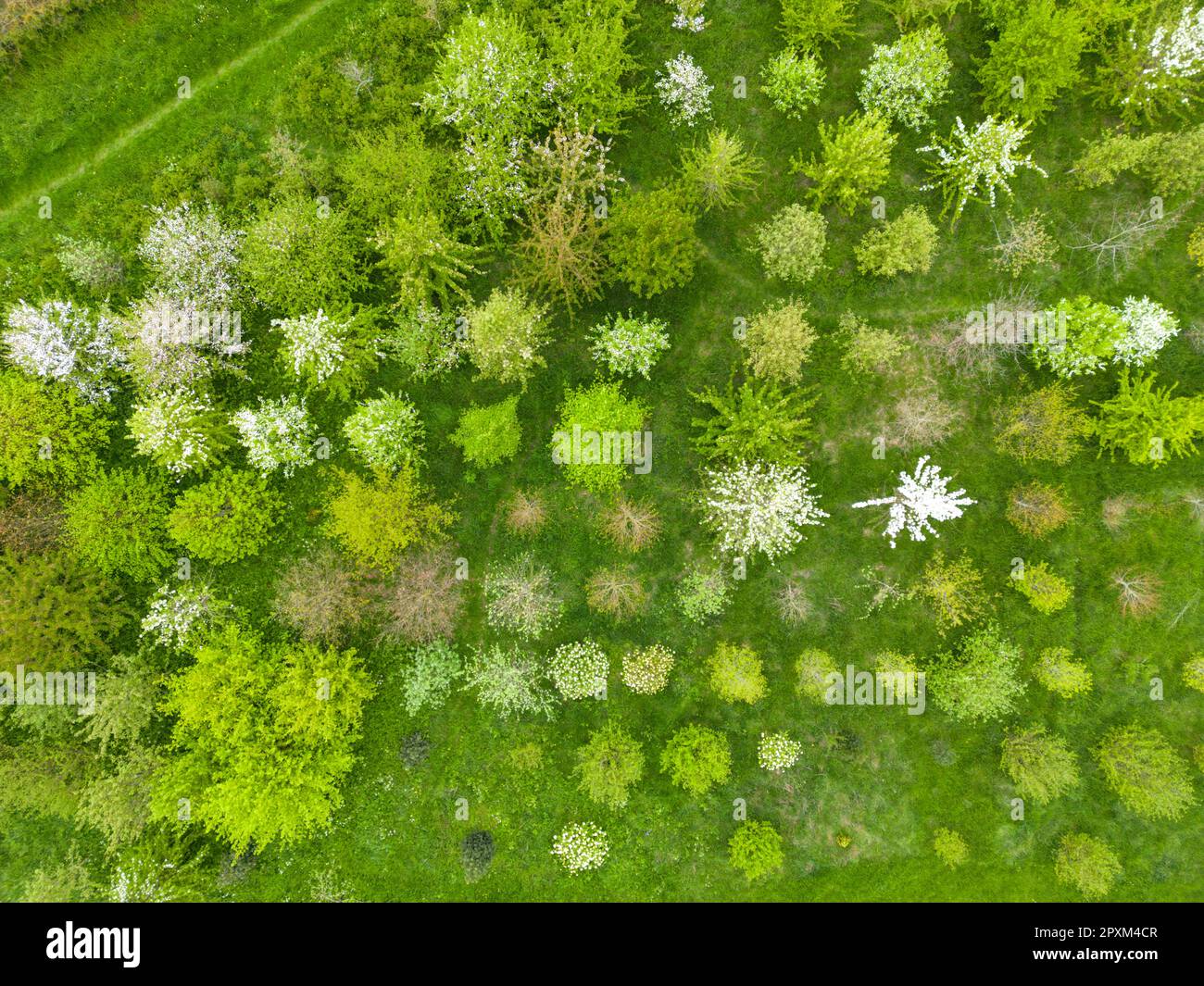 Community orchard flower uk hi-res stock photography and images - Alamy
