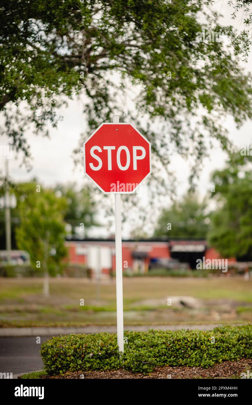 A stop sign at an intersection surrounded by a small, bushy area of ...