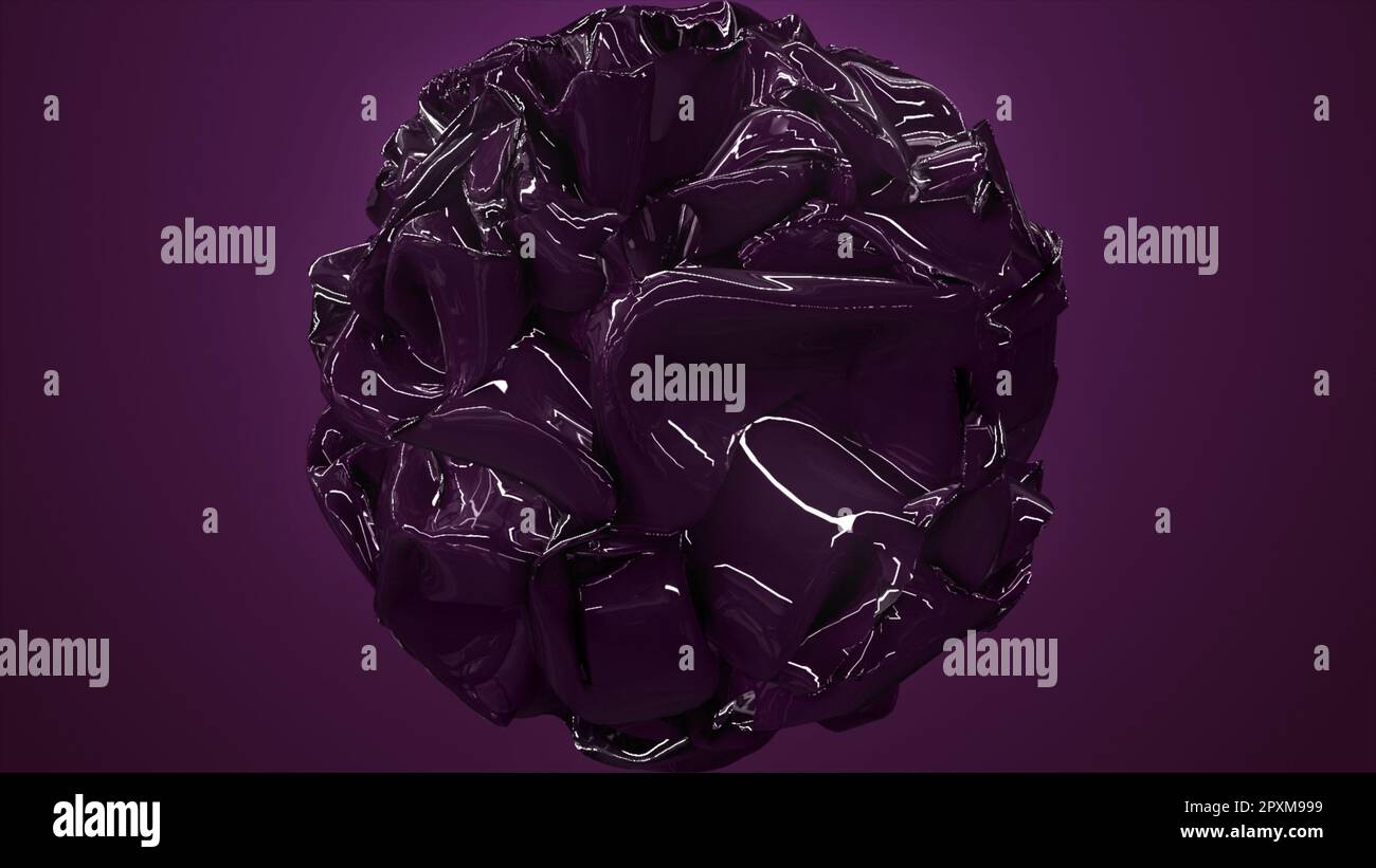 Close up of opening dark red rose. Dark chocolate color multismooth ...