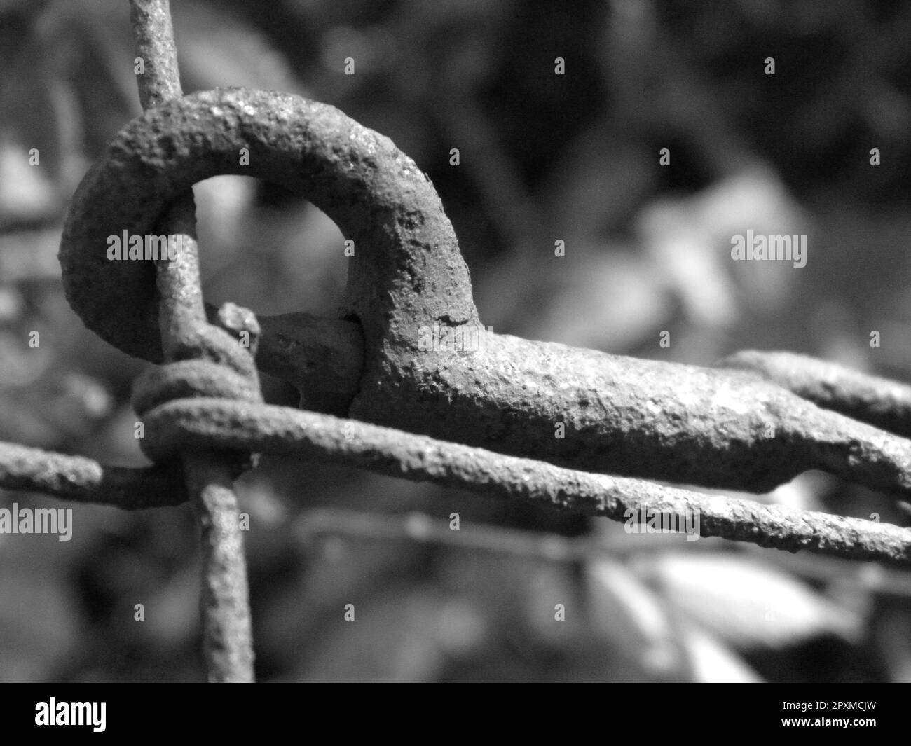 Iron fence Black and White Stock Photos & Images - Alamy