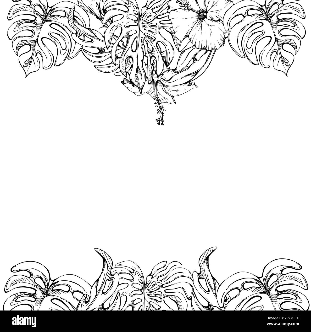 Hand drawn vector ink exotic monstera leaves and hibiscus flowers ...