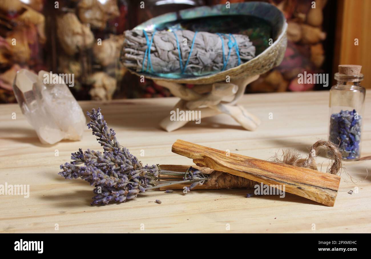 Dried Lavender With Palo Santo Wood and Abalone Shell For Smudging ...