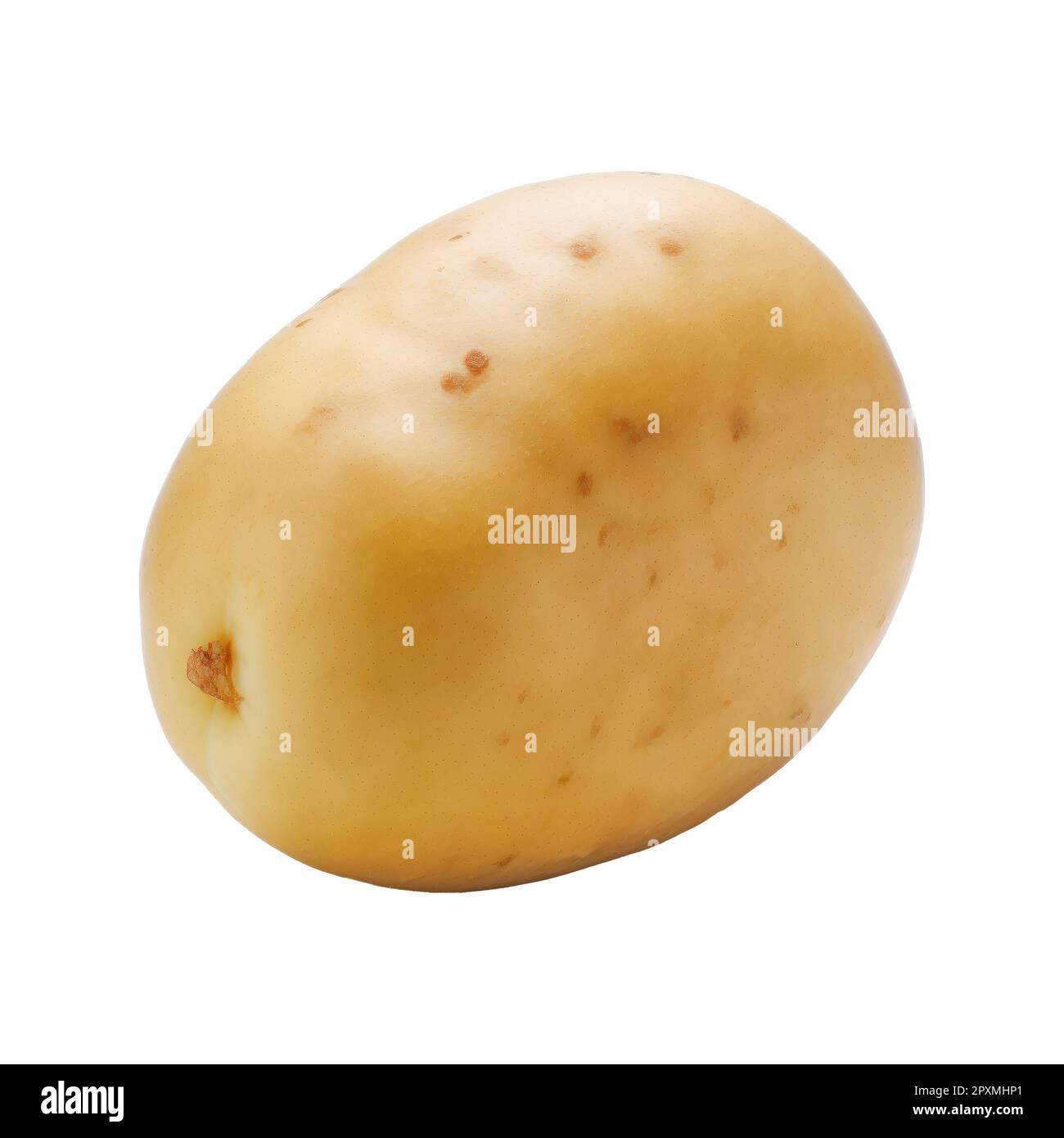 Potato isolated On white background Stock Photo - Alamy