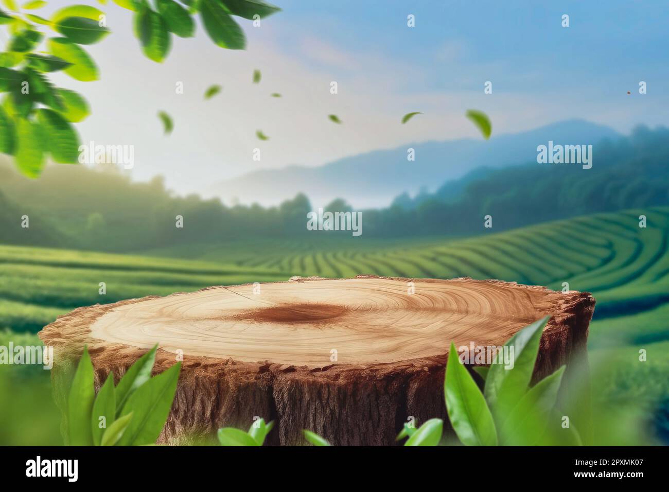 tree trunk and leaves flying in the sky in bokeh tea garden background ...