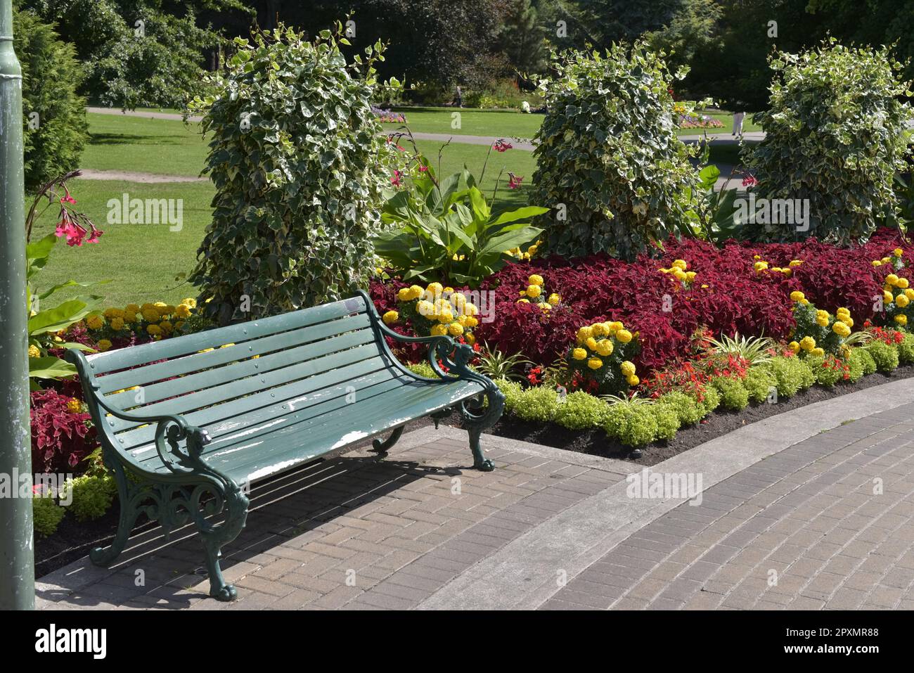 A park bench with a forest green finish in a lush green park surrounded ...