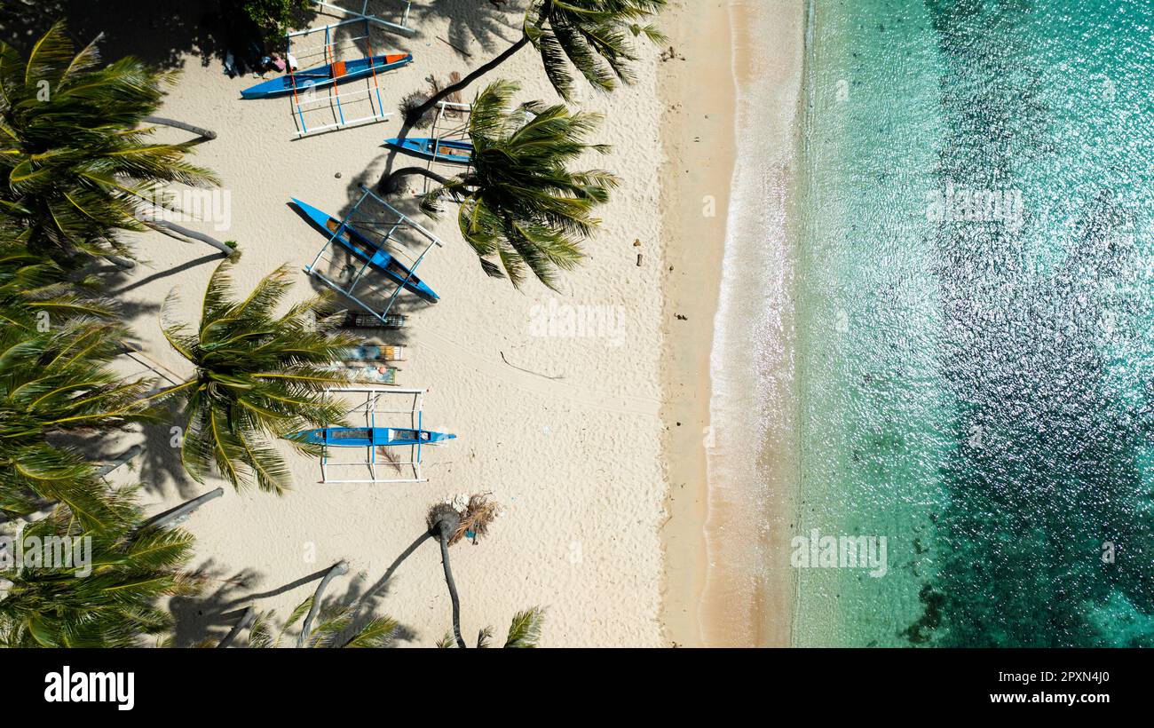 Top view of Beautiful sandy beach with palm trees and sea surf with ...