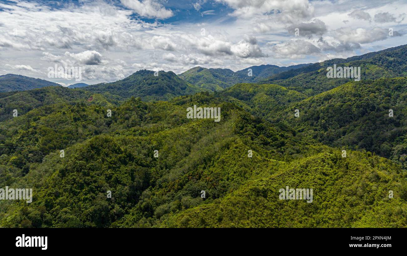 Mountains and hills with green vegetation and trees in the tropics ...