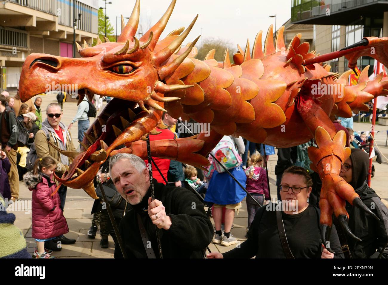 Saint George's Day Celebrations Derby 2023. A 10 foot tall dragon in ...