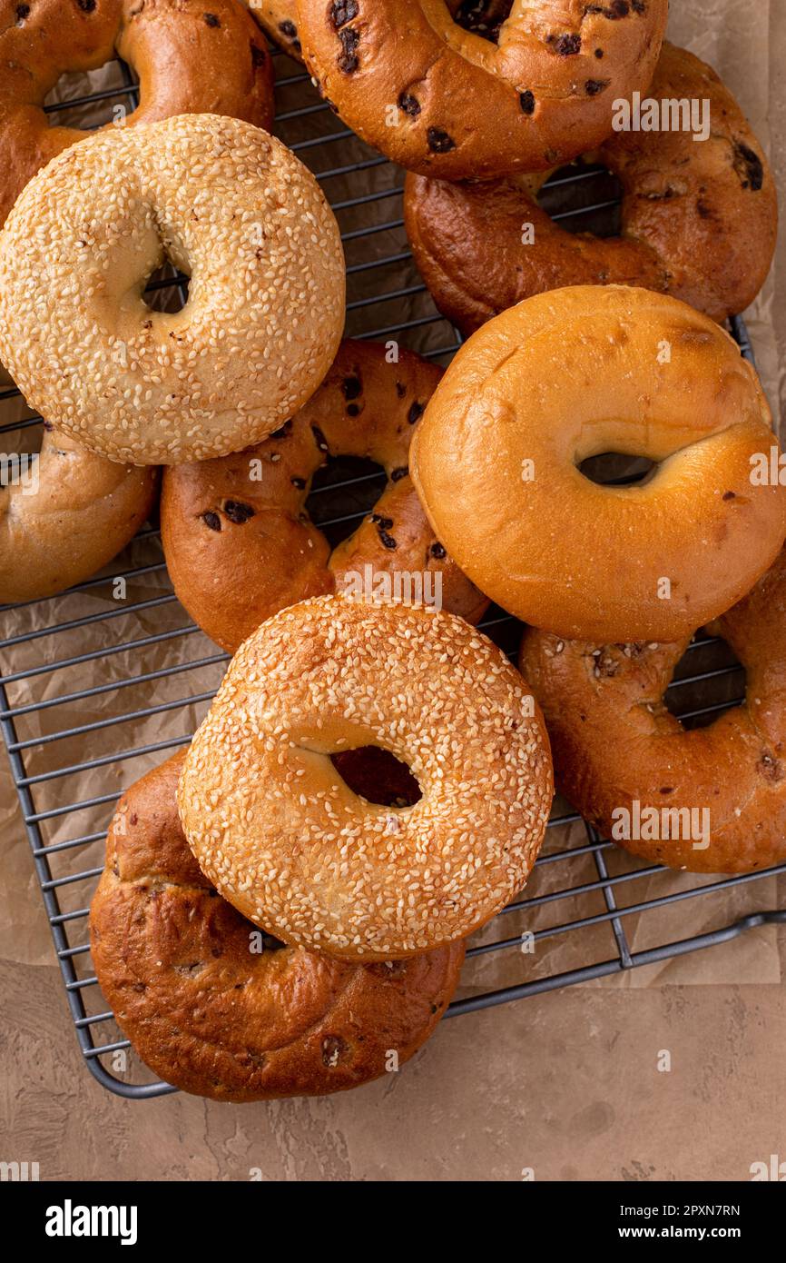 Variety of freshly baked bagels on a cooling rack ready for breakfast ...