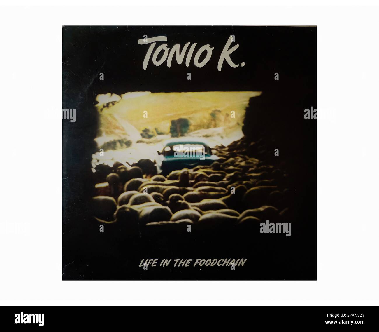 Tonio K - Life In A Foodchain - Vintage L.P Music Vinyl Record Stock ...