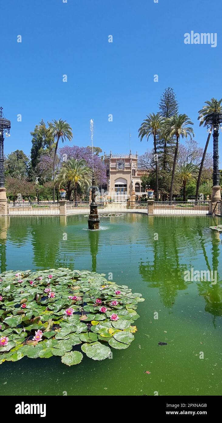Vertical image of a peaceful pond at the Museum of Arts and Popular ...