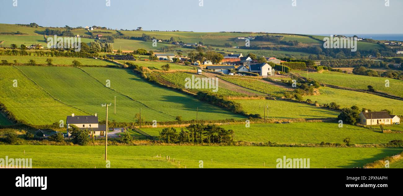 farm fields in the south of Ireland on a summer evening. Agricultural ...