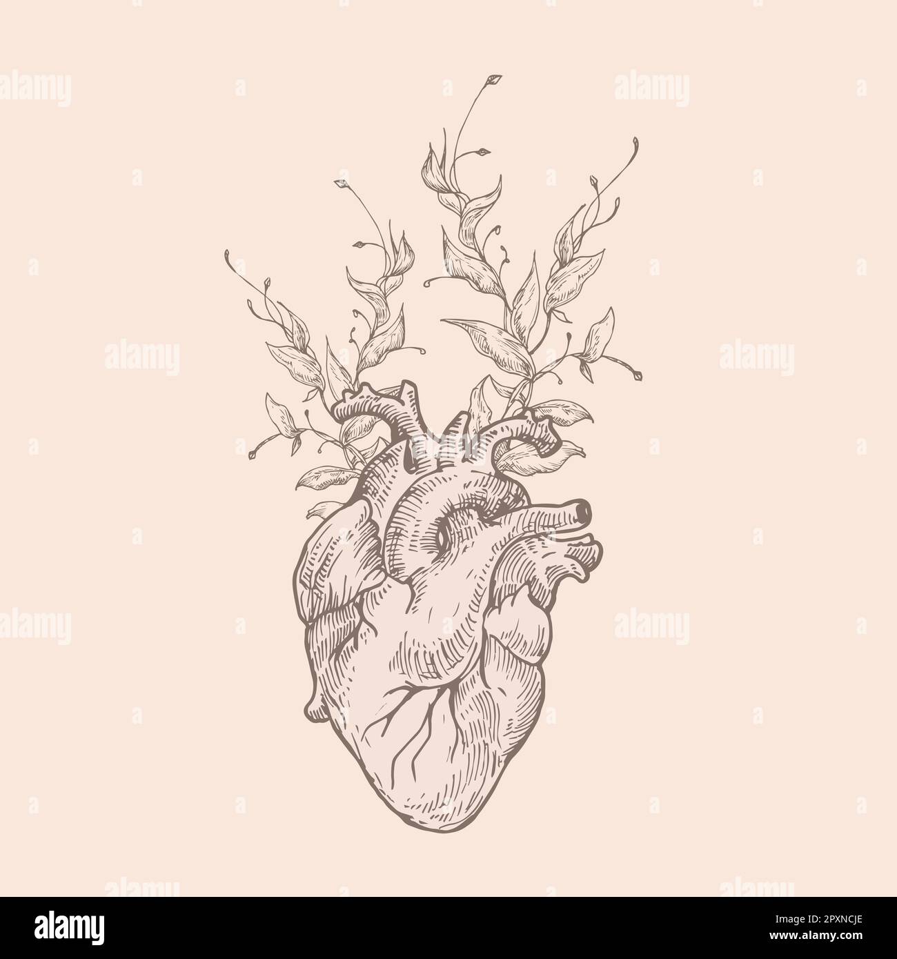 Abstract Vector Romantic Illustration. Hand Drawn Anatomical Heart ...