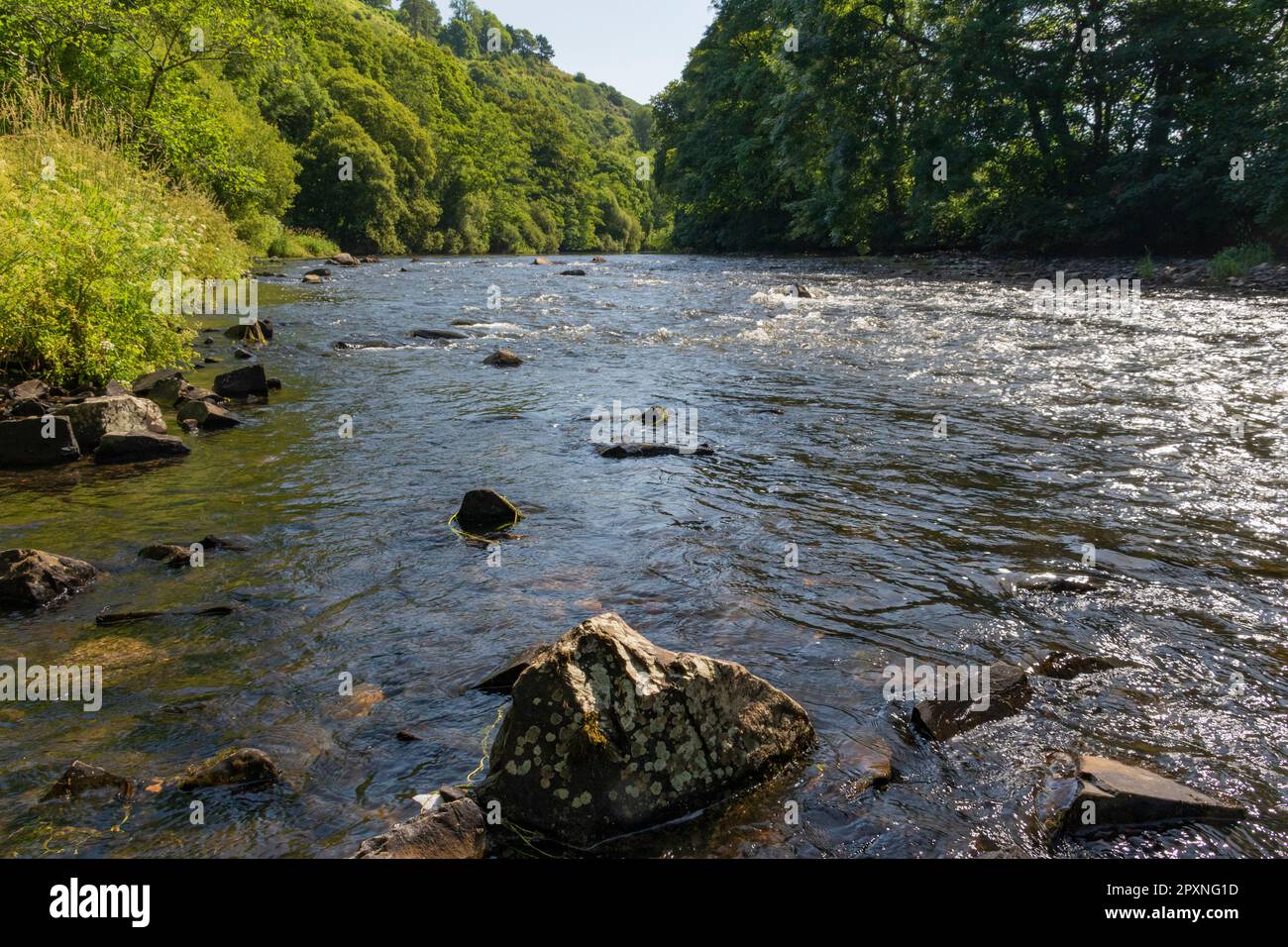 Summer View of the River Torridge in Reduced Summer Flow With River ...